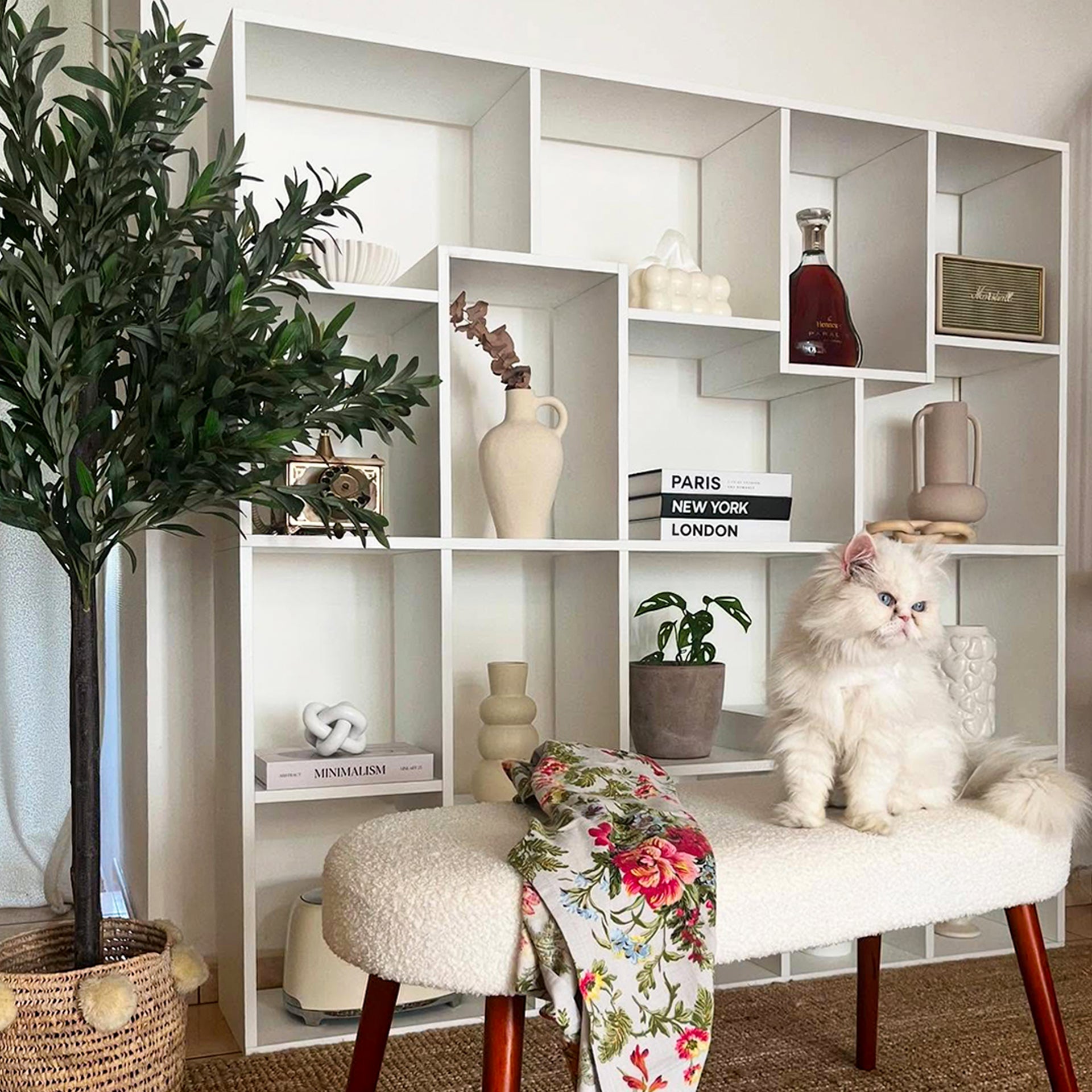 Iacopo S Bookcase (63.31 x 62.3 in), Ashwood White